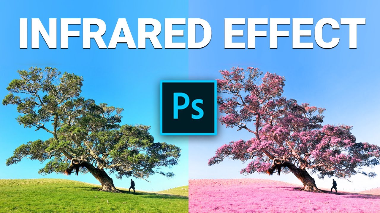 Mastering the Art of Infrared Photography: A Comprehensive Guide to ...